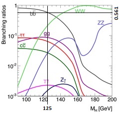 The Standard Model of particle physics shows that depending on the mass ...
