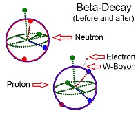 3. The Weak Interaction